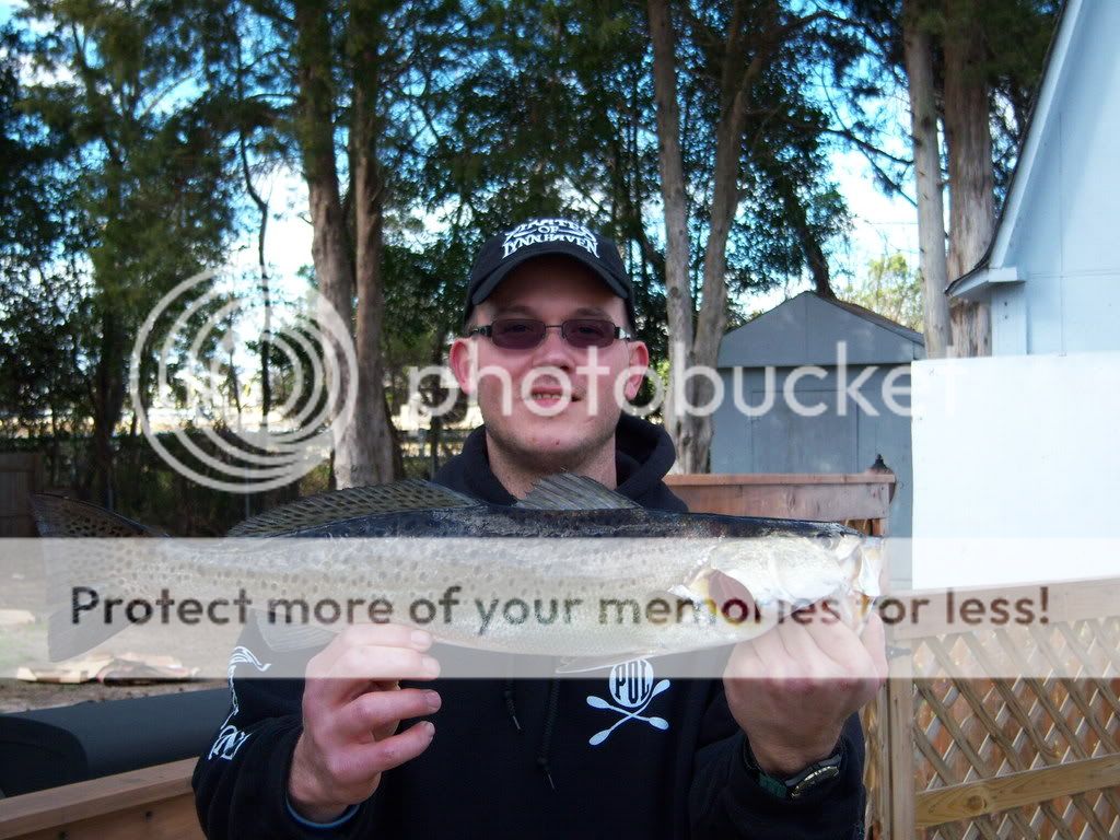 Hot Ditch specs | Pier and Surf Forum