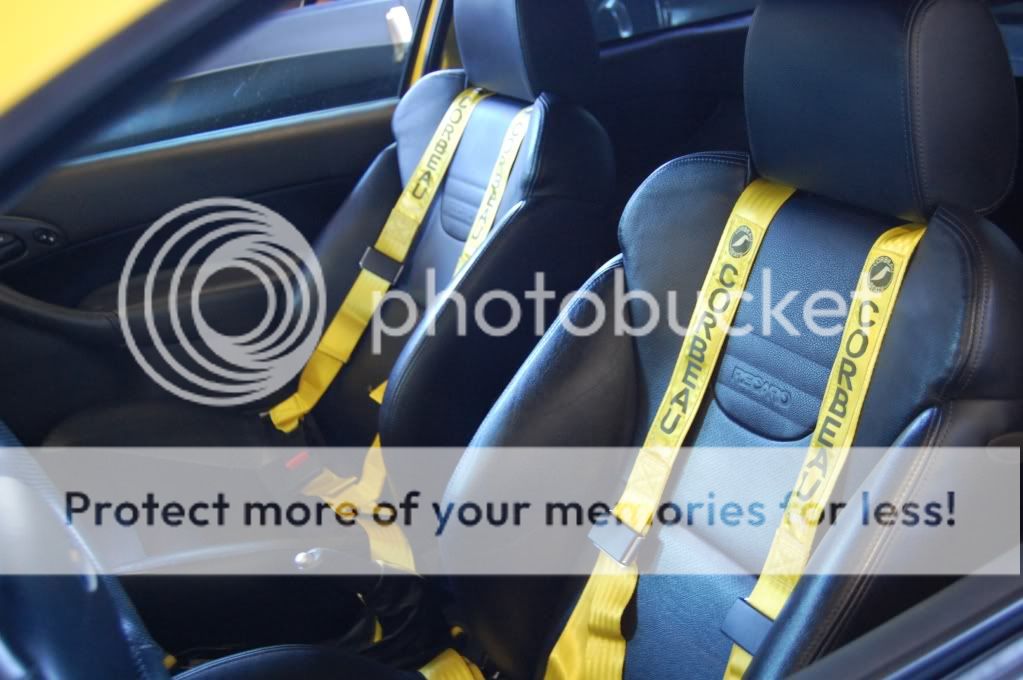 Some of the New Mods to my 2004 SVT | Focus Fanatics Forum