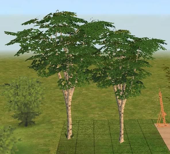 Mod The Sims - I learned Meshing!