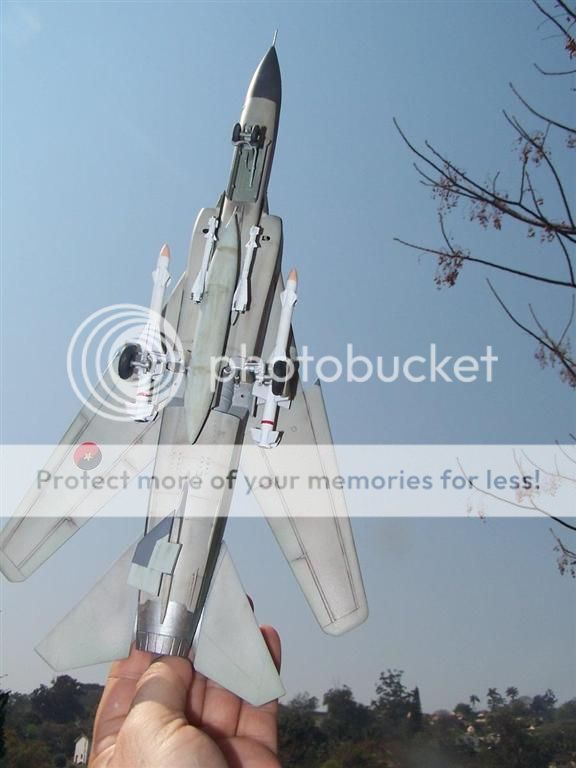 The SAAF Forum • View topic - FINALLY FINISHED....A Foe of the SAAF ...